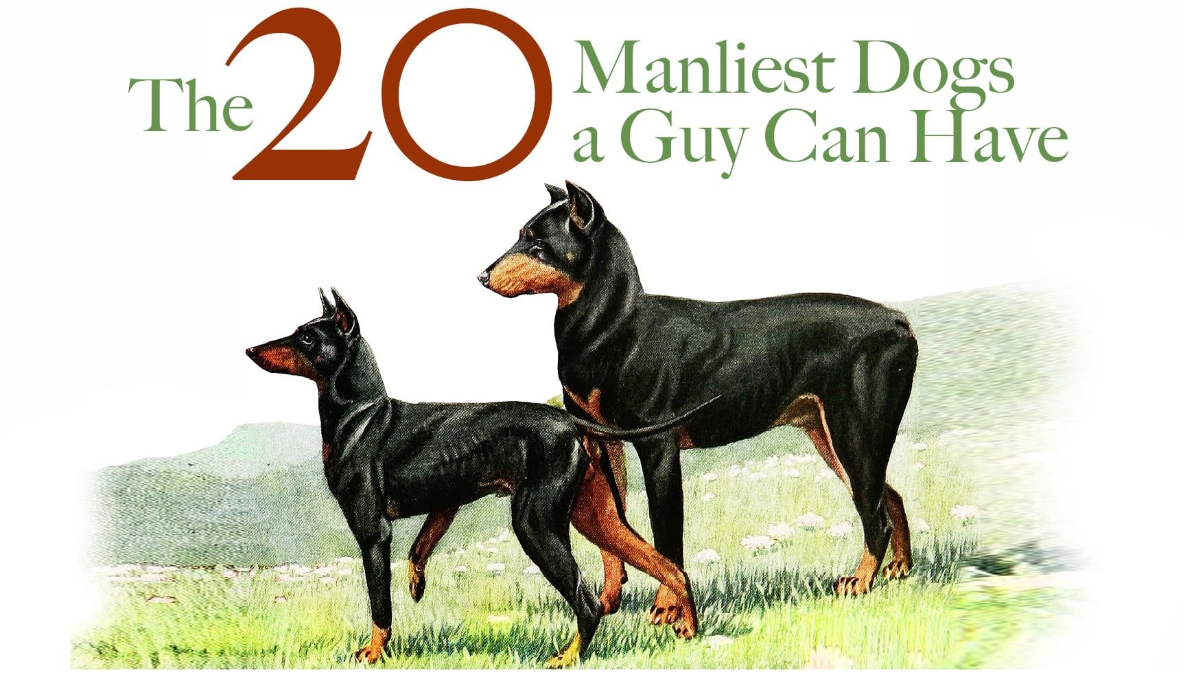 The Twenty Manliest Dogs a Guy Can Have - The Elevated Male